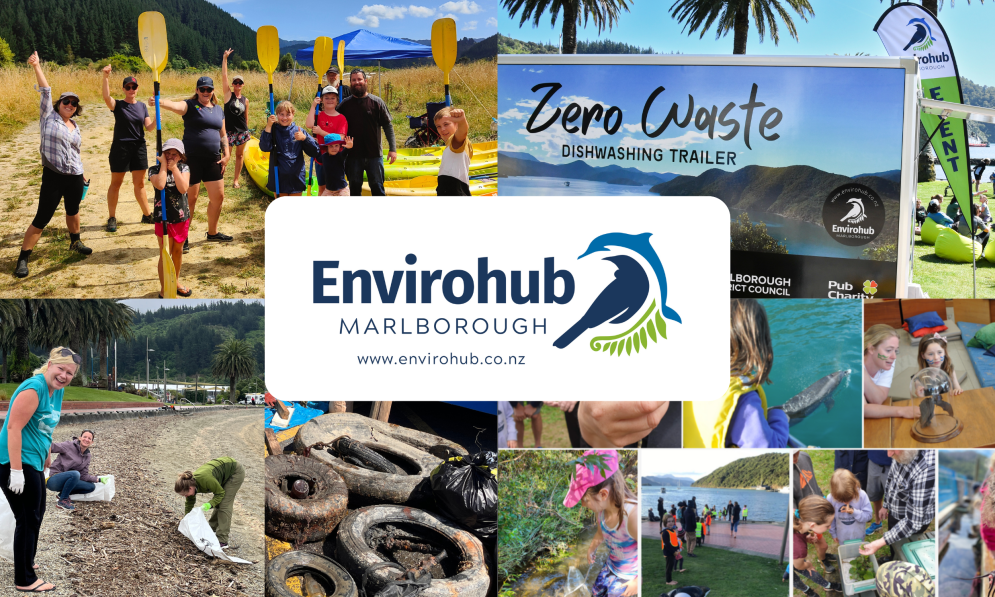 March monthly talk - Envirohub Marlborough | Forest and Bird